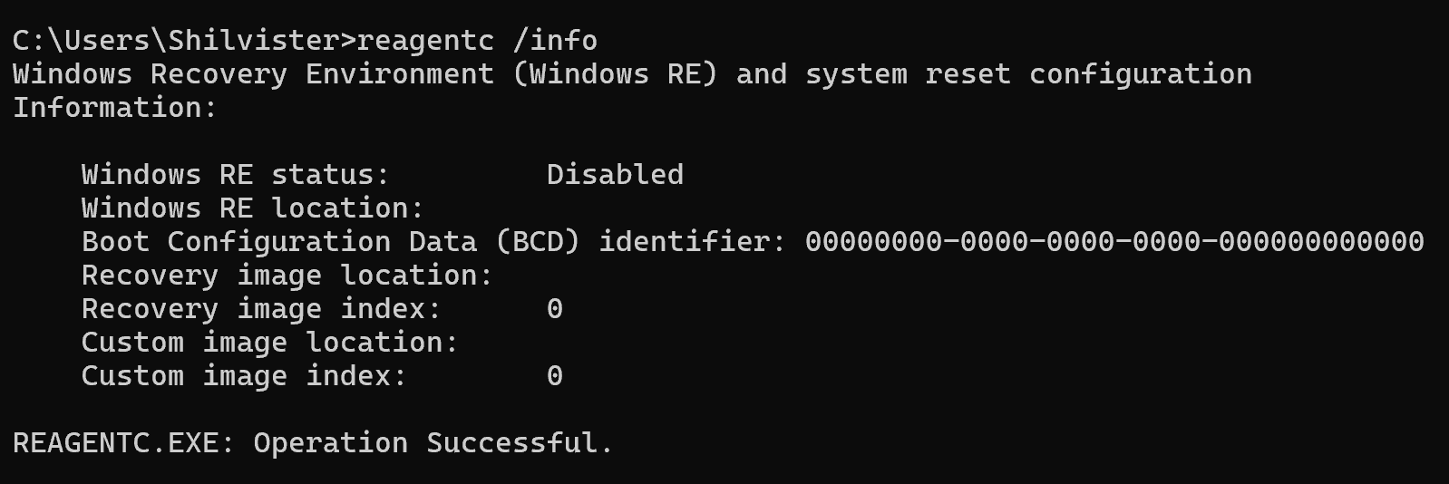 Windows 리커버리 파티션 생성하기 (파일 有)